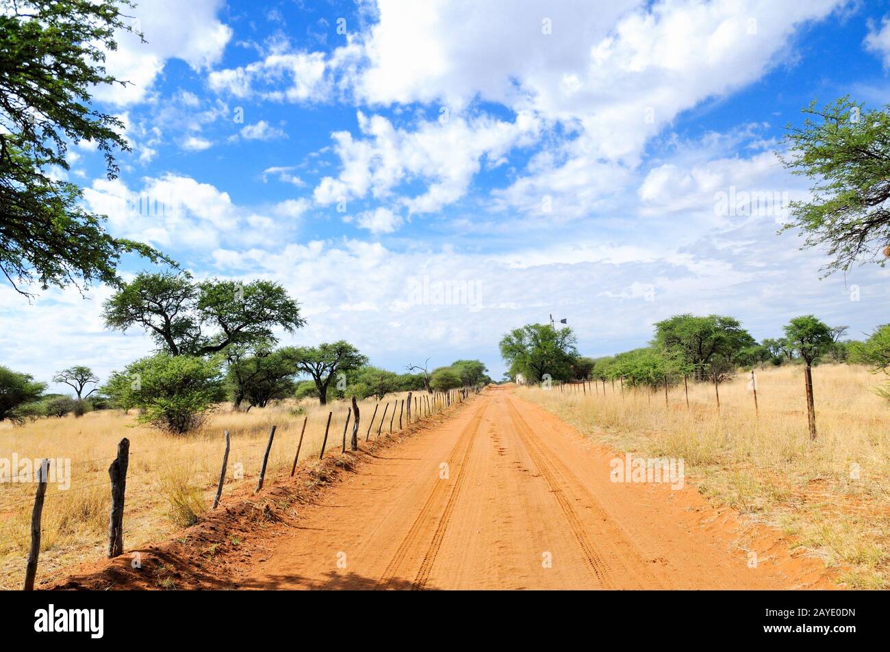 Cattle farming namibia hi-res stock photography and images - Alamy