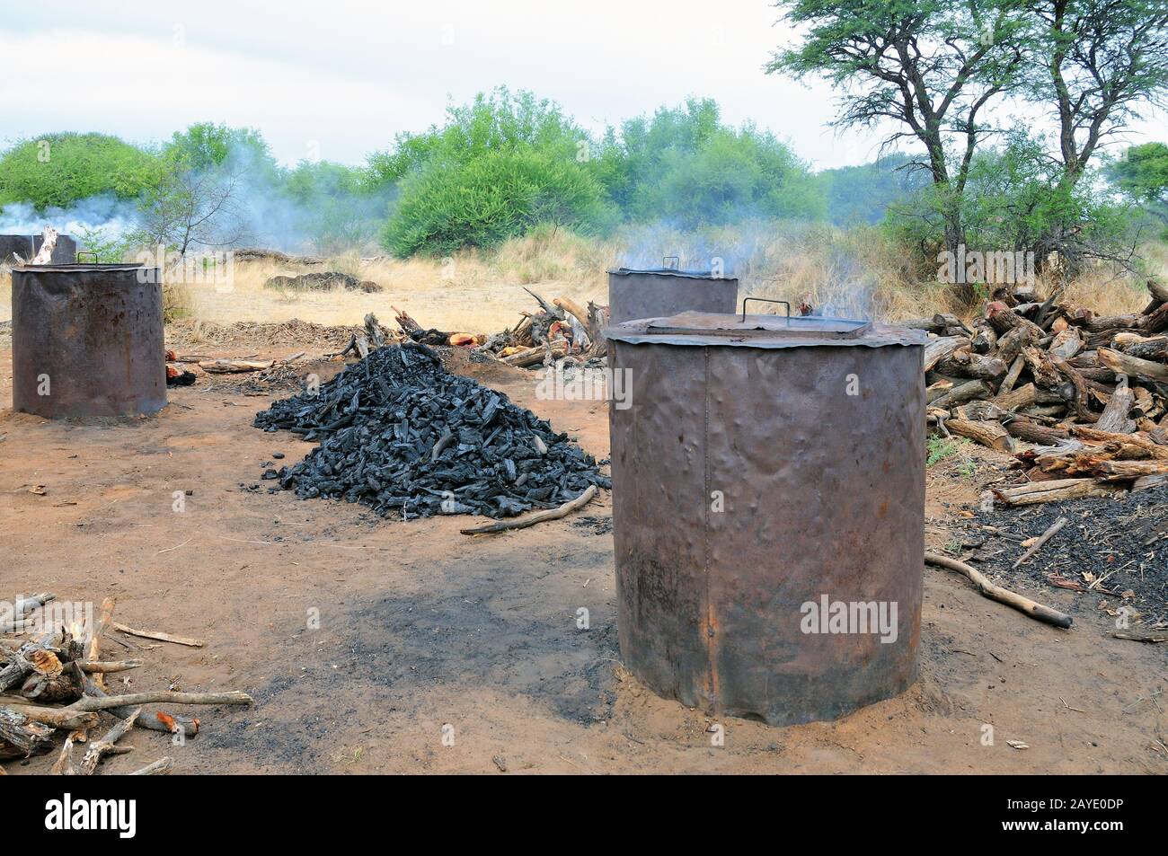 Charcoal production in Namibia Stock Photo - Alamy