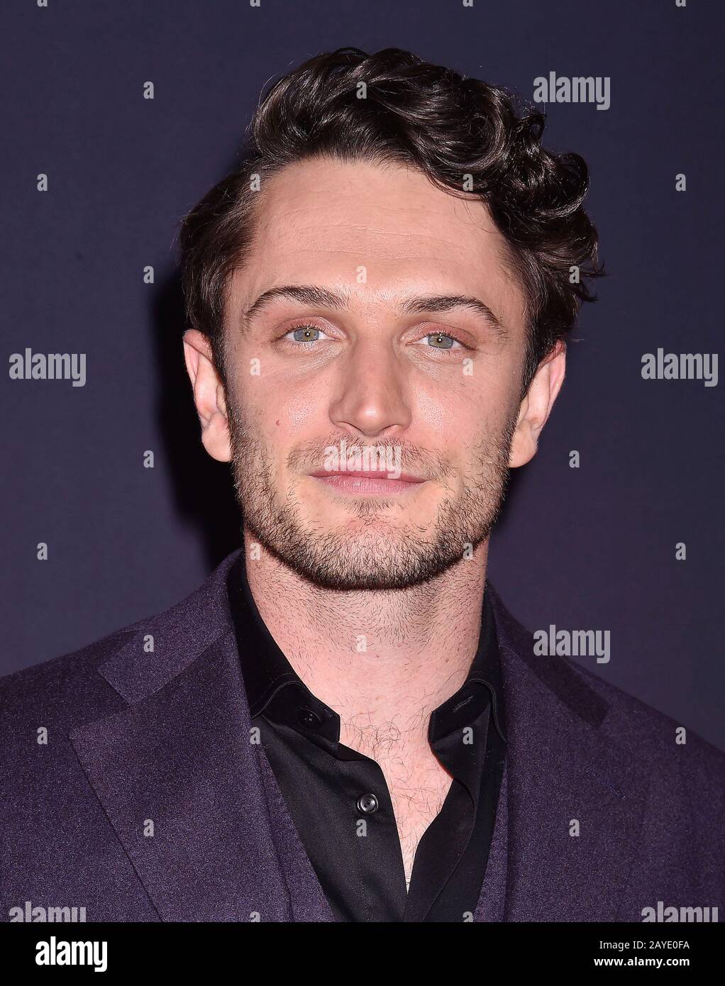 HOLLYWOOD, CA - FEBRUARY 13: Colin Woodell attends the Premiere of 20th ...