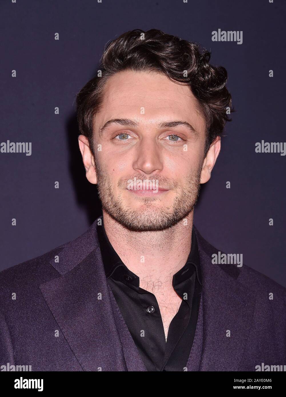 HOLLYWOOD, CA - FEBRUARY 13: Colin Woodell attends the Premiere of 20th ...