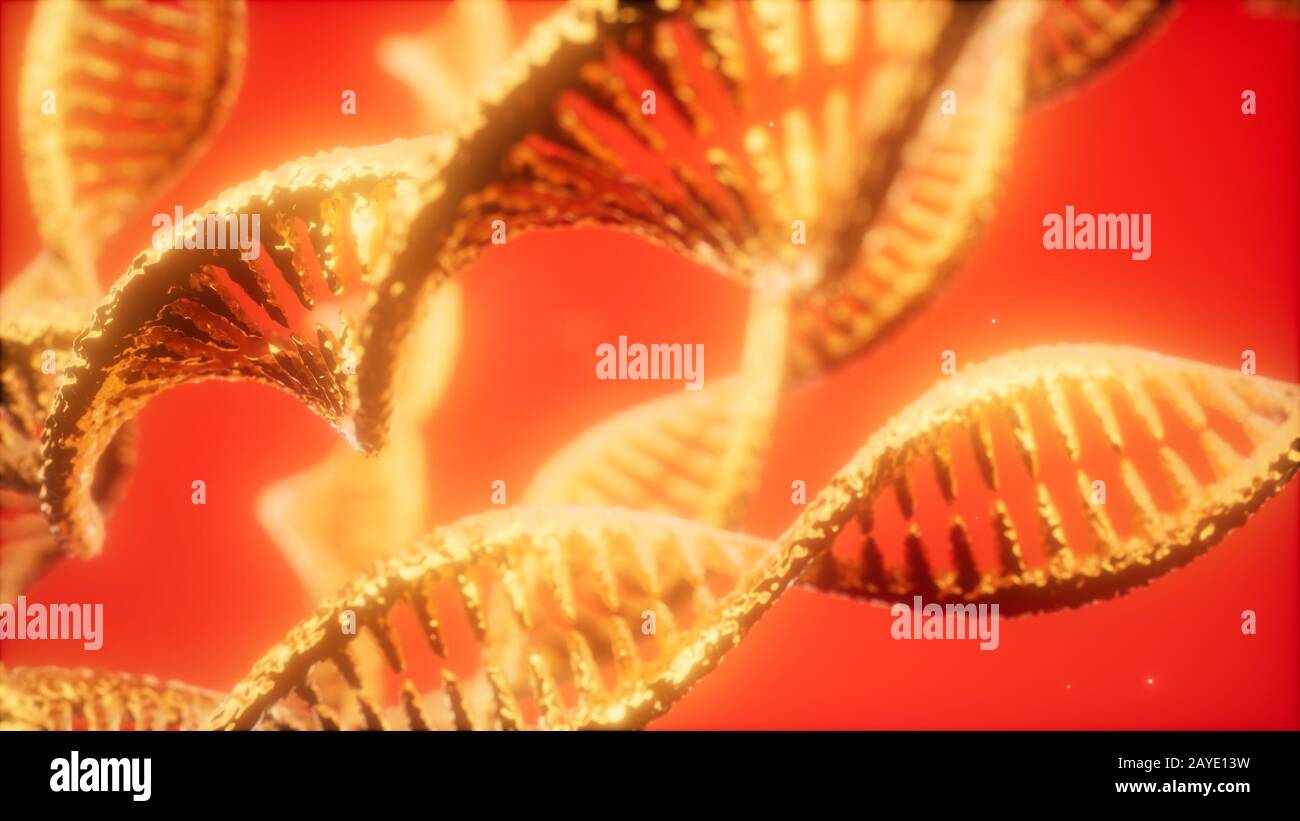 structure of the DNA double helix animation Stock Photo - Alamy
