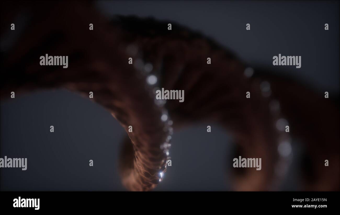 loopable structure of the DNA double helix animation Stock Photo - Alamy