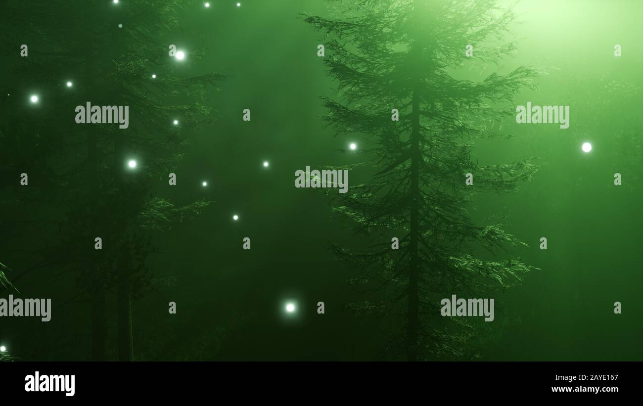 Magical Forest with Sparkles Stock Photo - Alamy