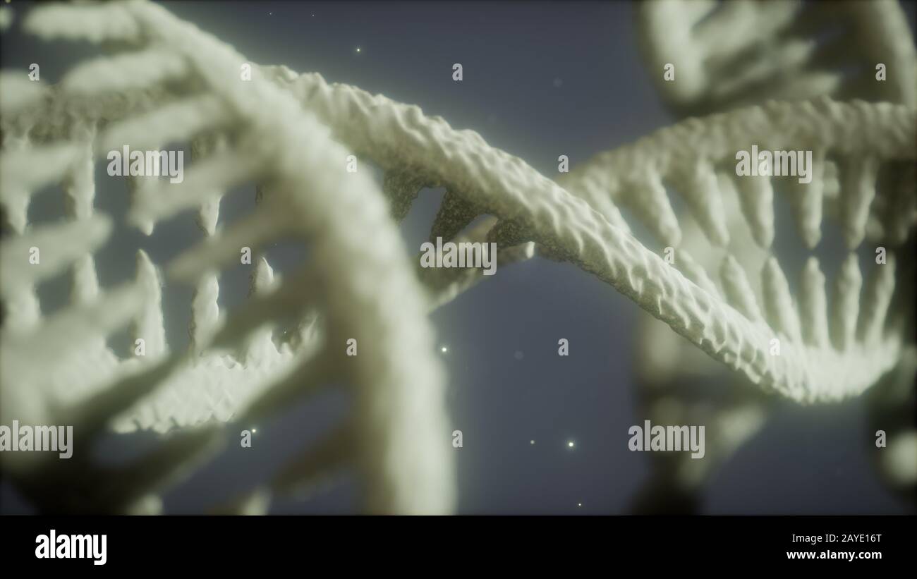 double helical structure of dna strand close-up animation Stock Photo ...