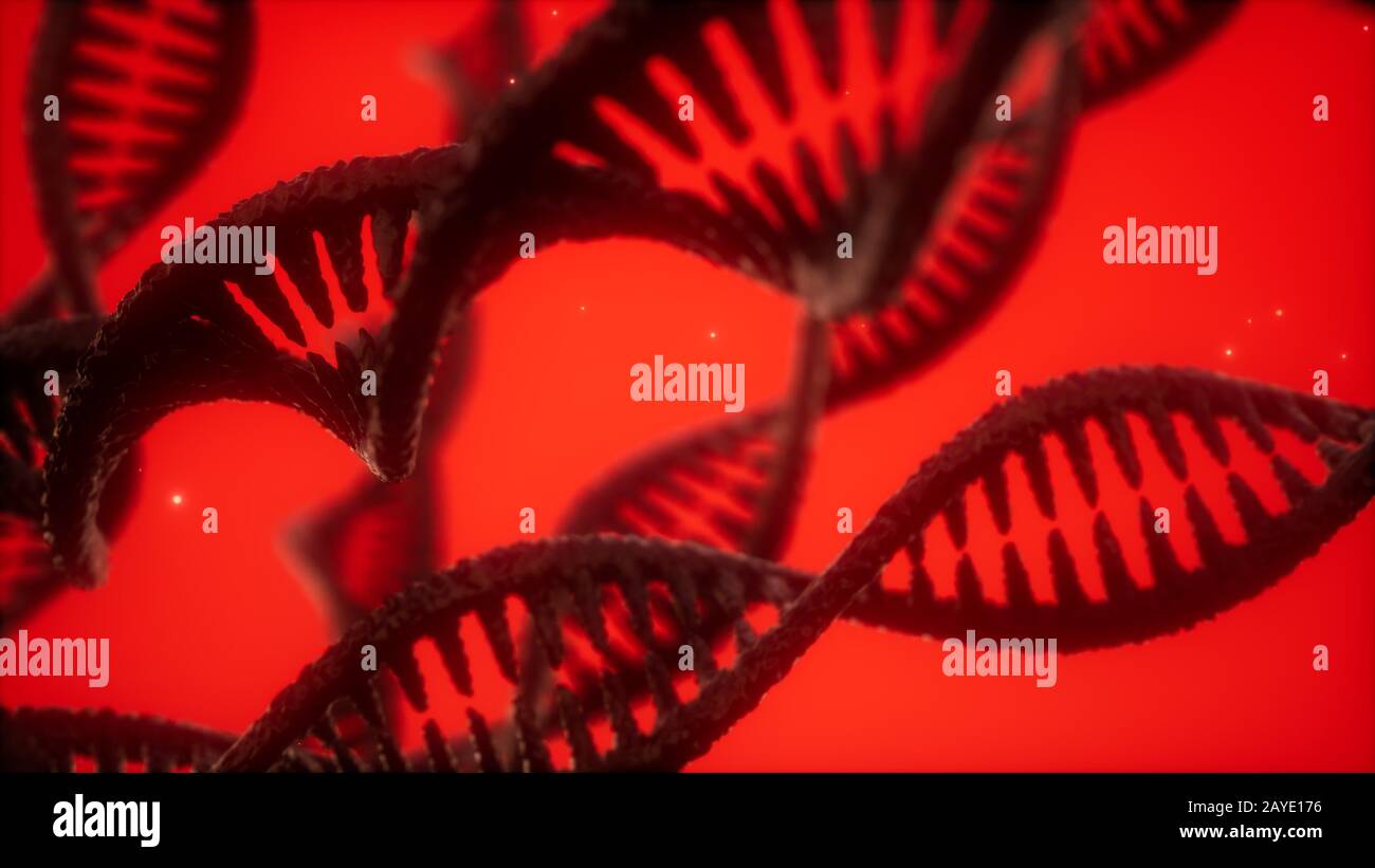 structure of the DNA double helix animation Stock Photo - Alamy