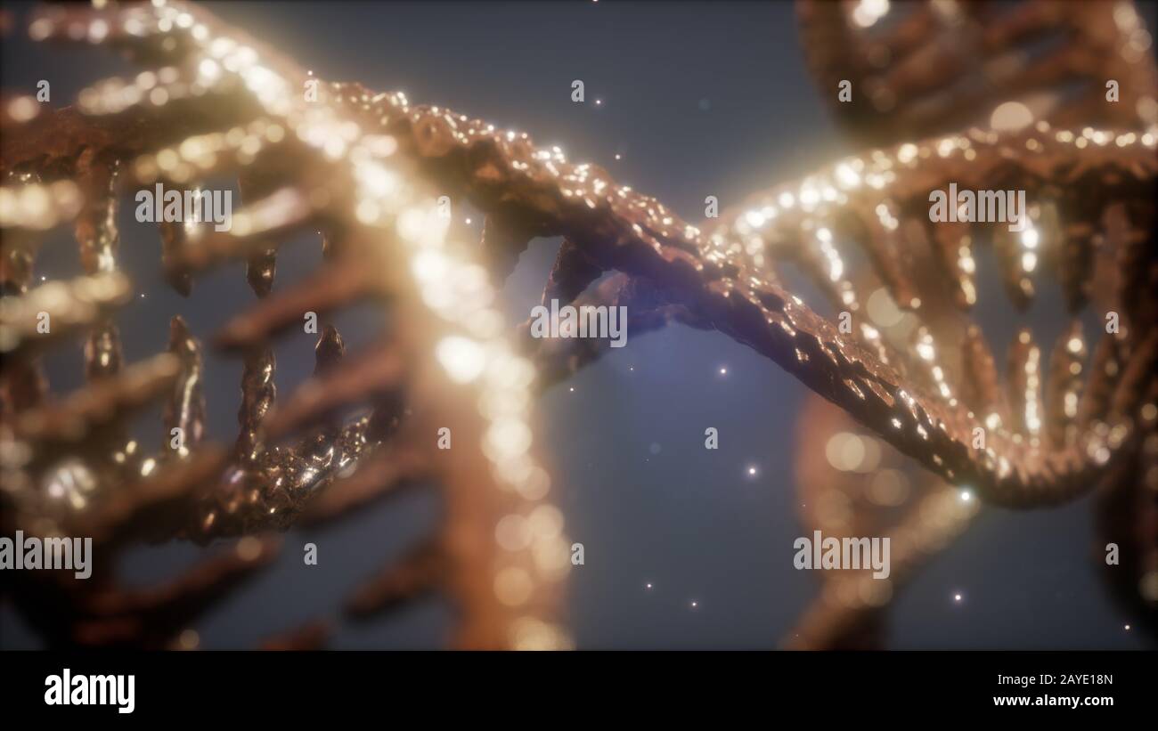 double helical structure of dna strand close-up animation Stock Photo ...