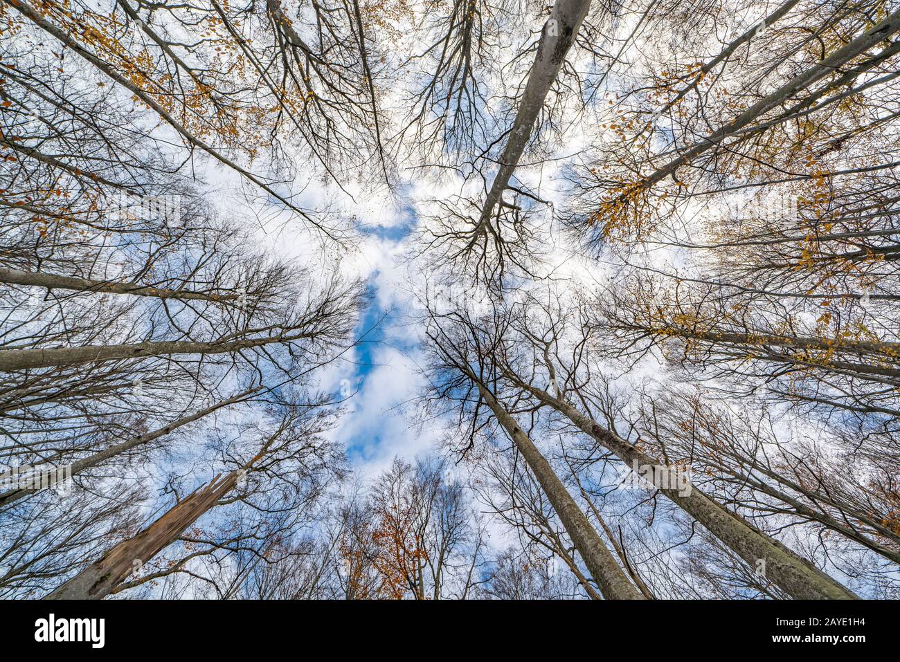 Omberg ekopark and nature reserve in Sweden Stock Photo - Alamy