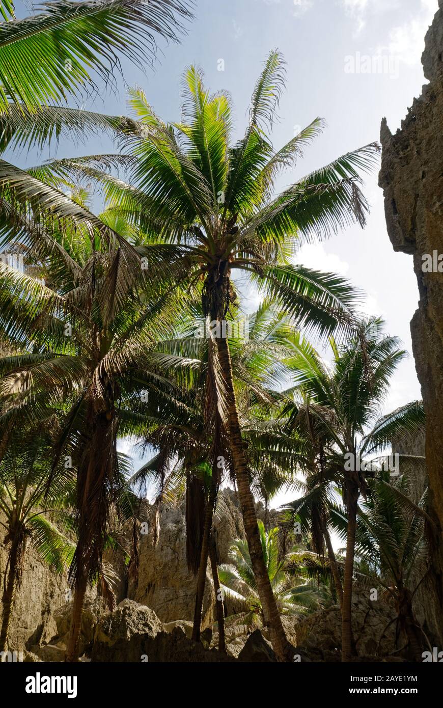Togo landscape hi-res stock photography and images - Alamy