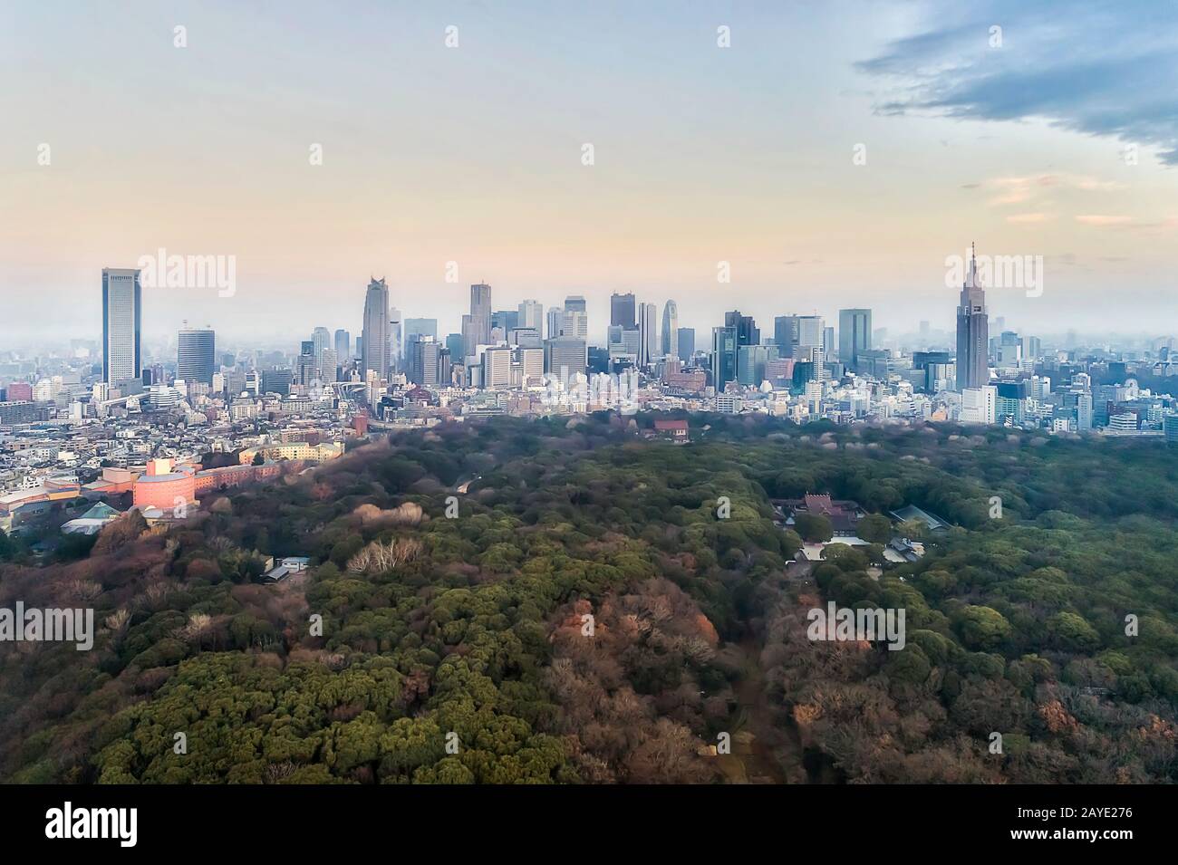 Green public park in Tokyo city around famous Shinjuku district with ...