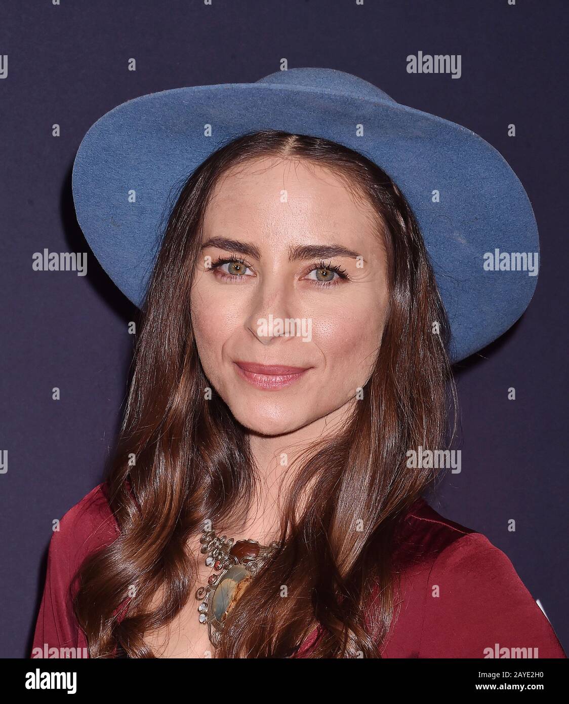 HOLLYWOOD, CA - FEBRUARY 13: Diana Carr attends the Premiere of 20th ...