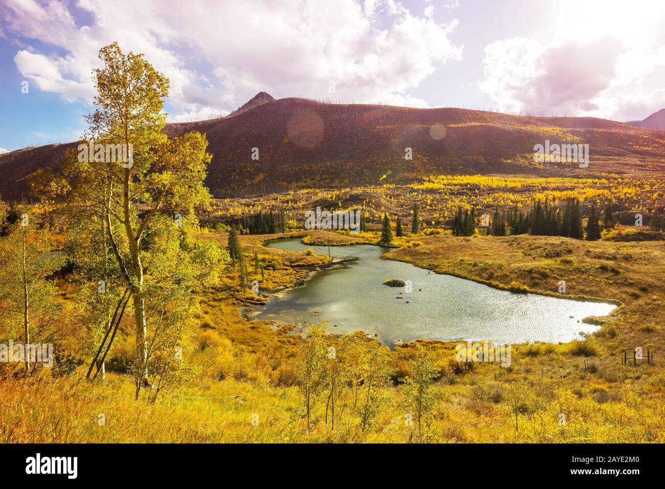 Autumn in Colorado Stock Photo - Alamy