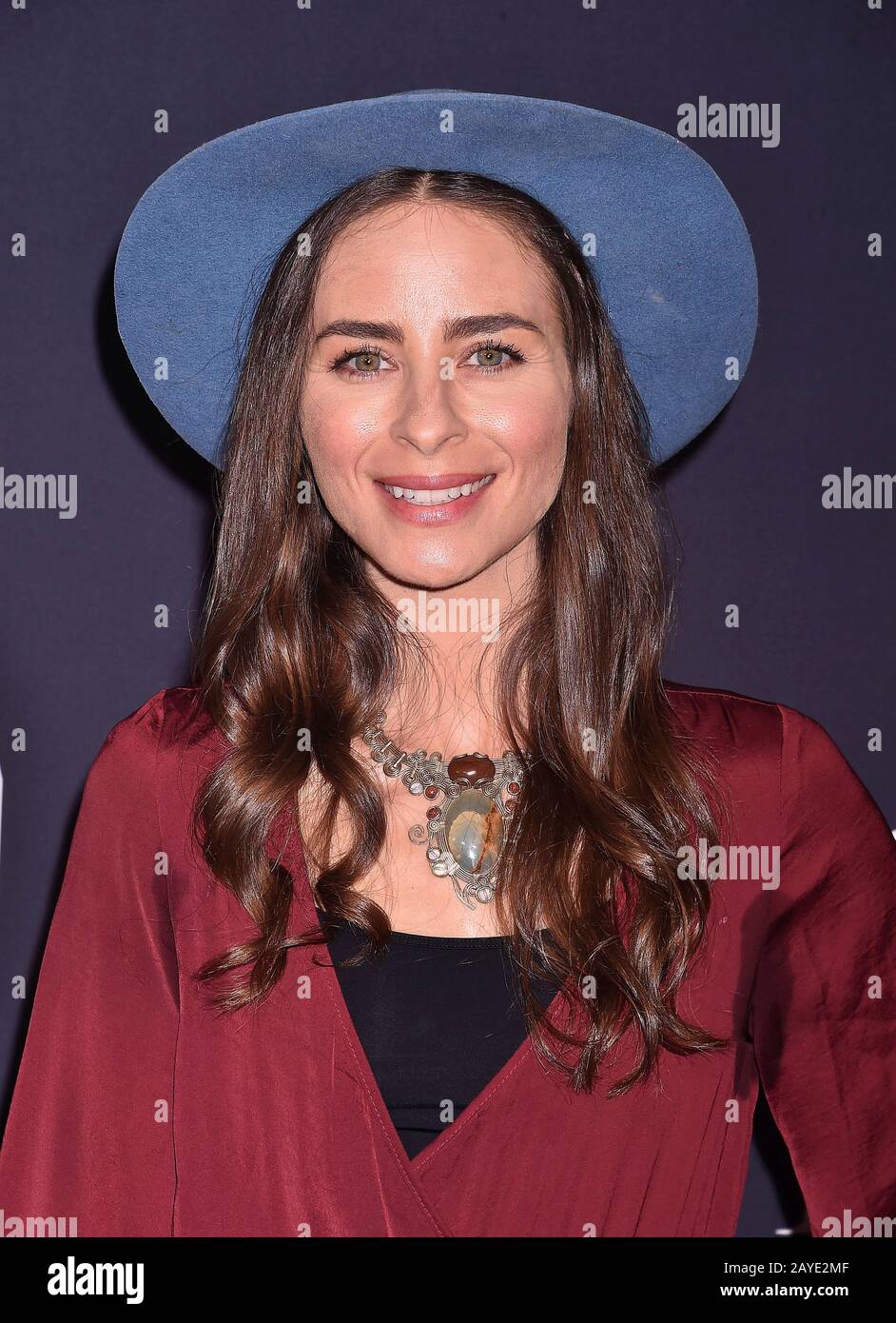 HOLLYWOOD, CA - FEBRUARY 13: Diana Carr attends the Premiere of 20th ...