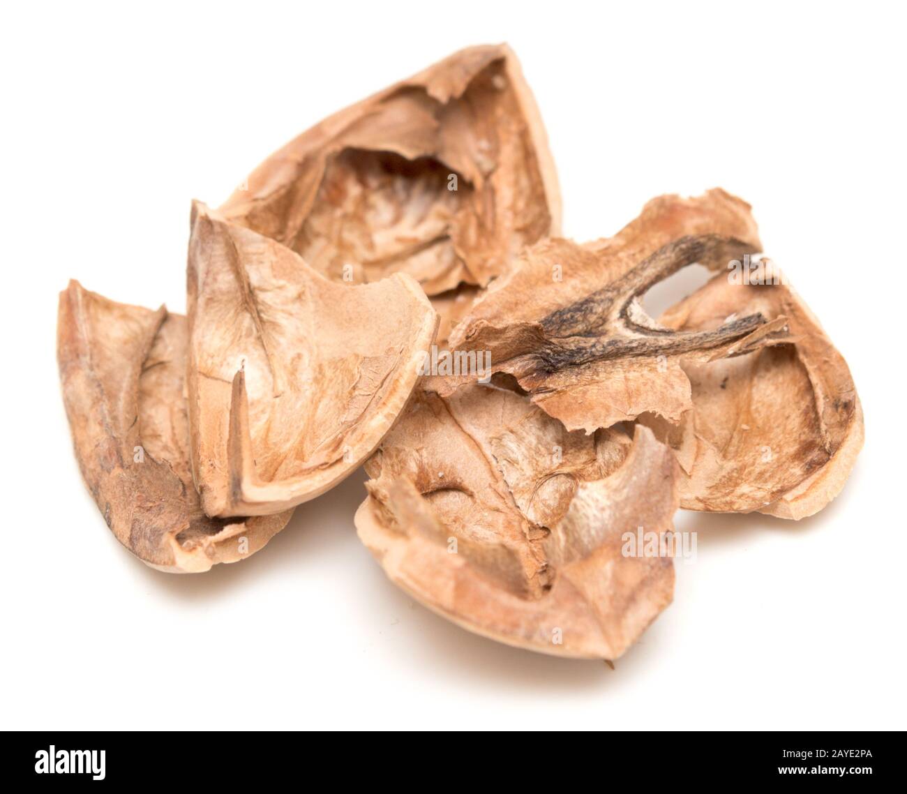 Walnut shells hi-res stock photography and images - Alamy