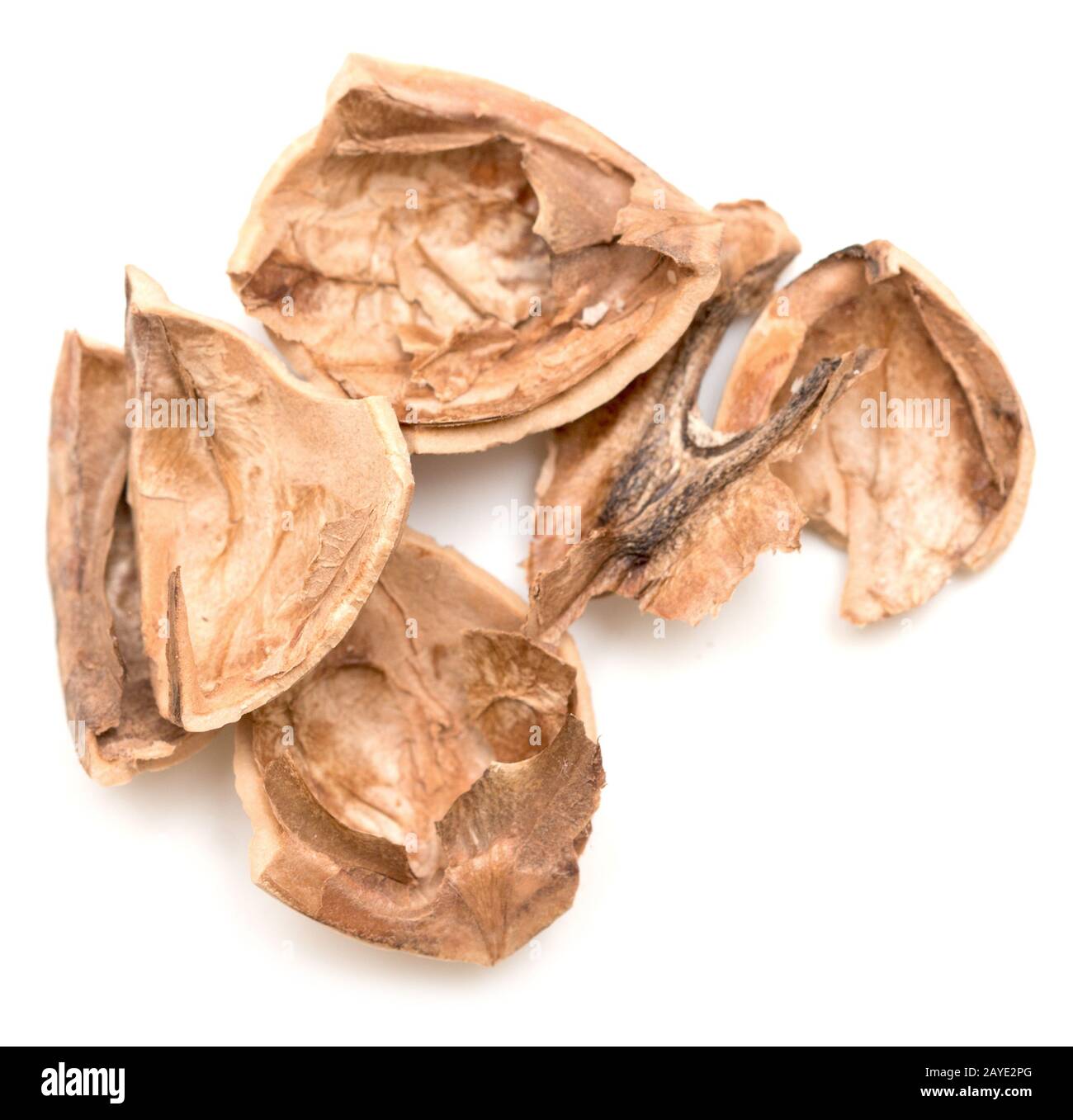 Walnut shell empty hi-res stock photography and images - Alamy