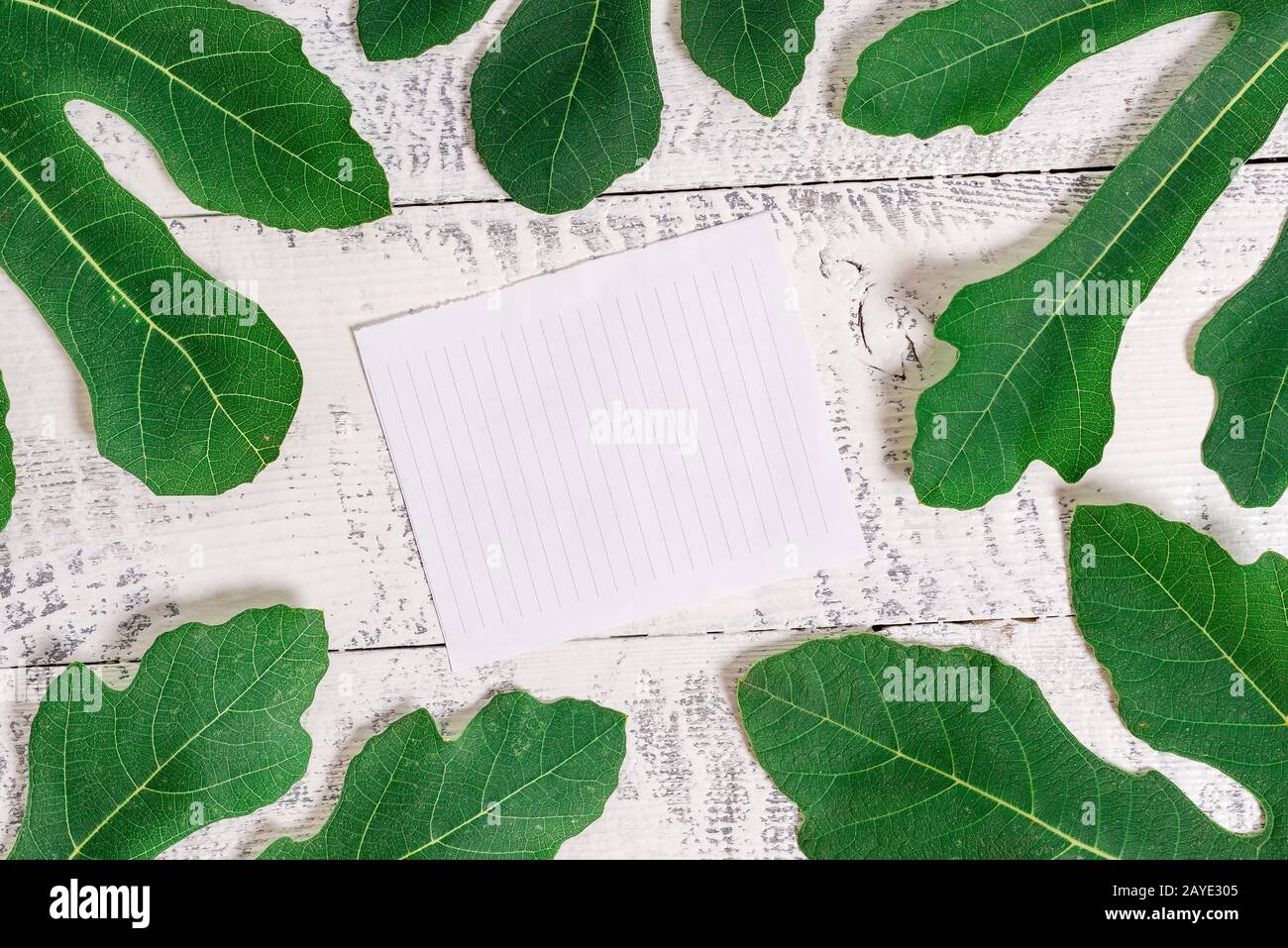 Notepaper placed above classic wooden table between green leaves ...