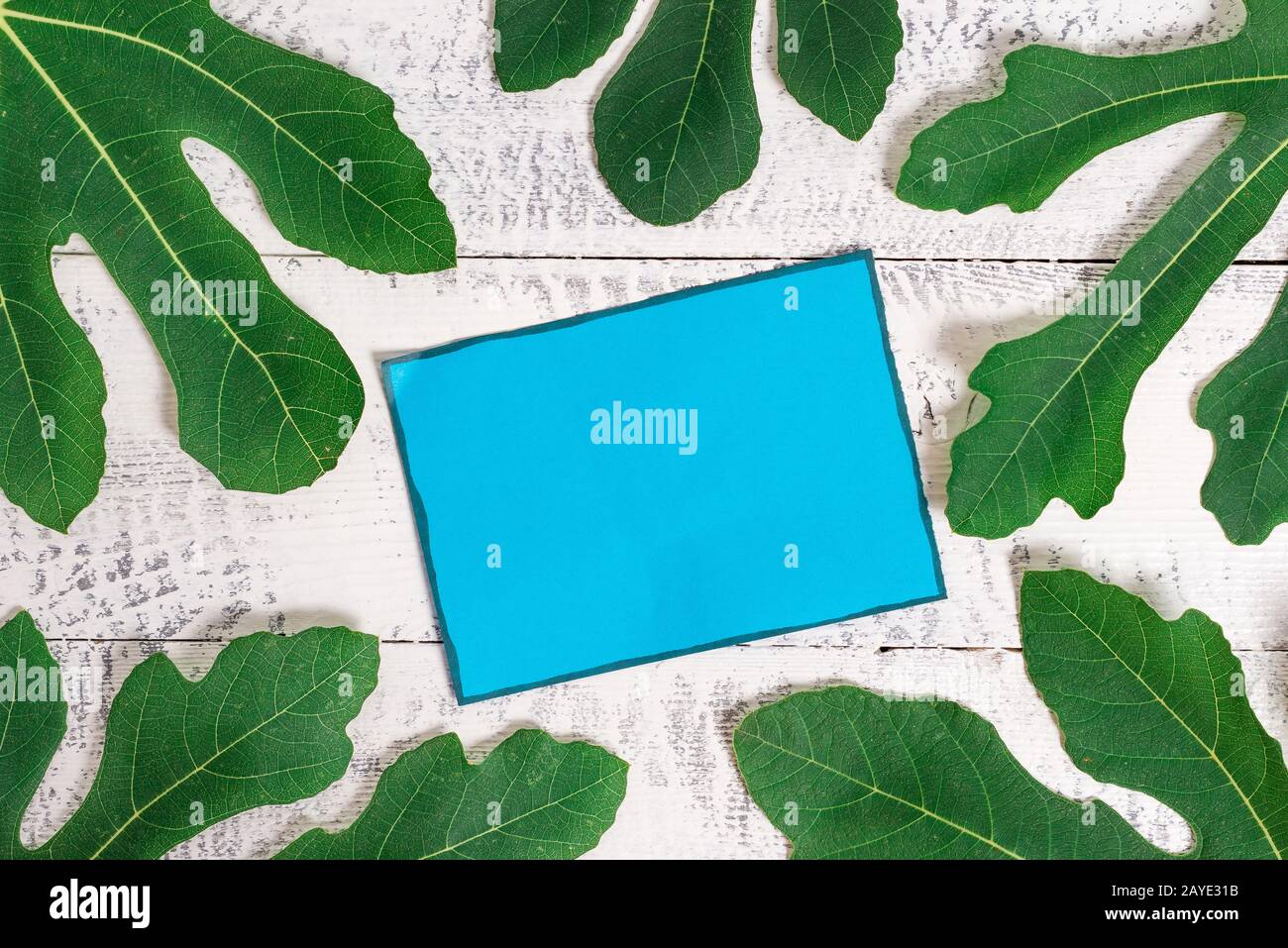 Notepaper placed above classic wooden table between green leaves ...