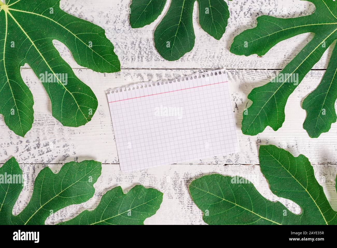 Notepaper placed above classic wooden table between green leaves ...