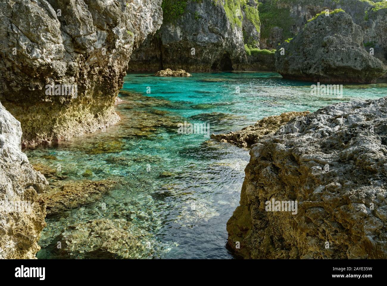 The inviting clear waters of Limu Pools in Niue Stock Photo - Alamy