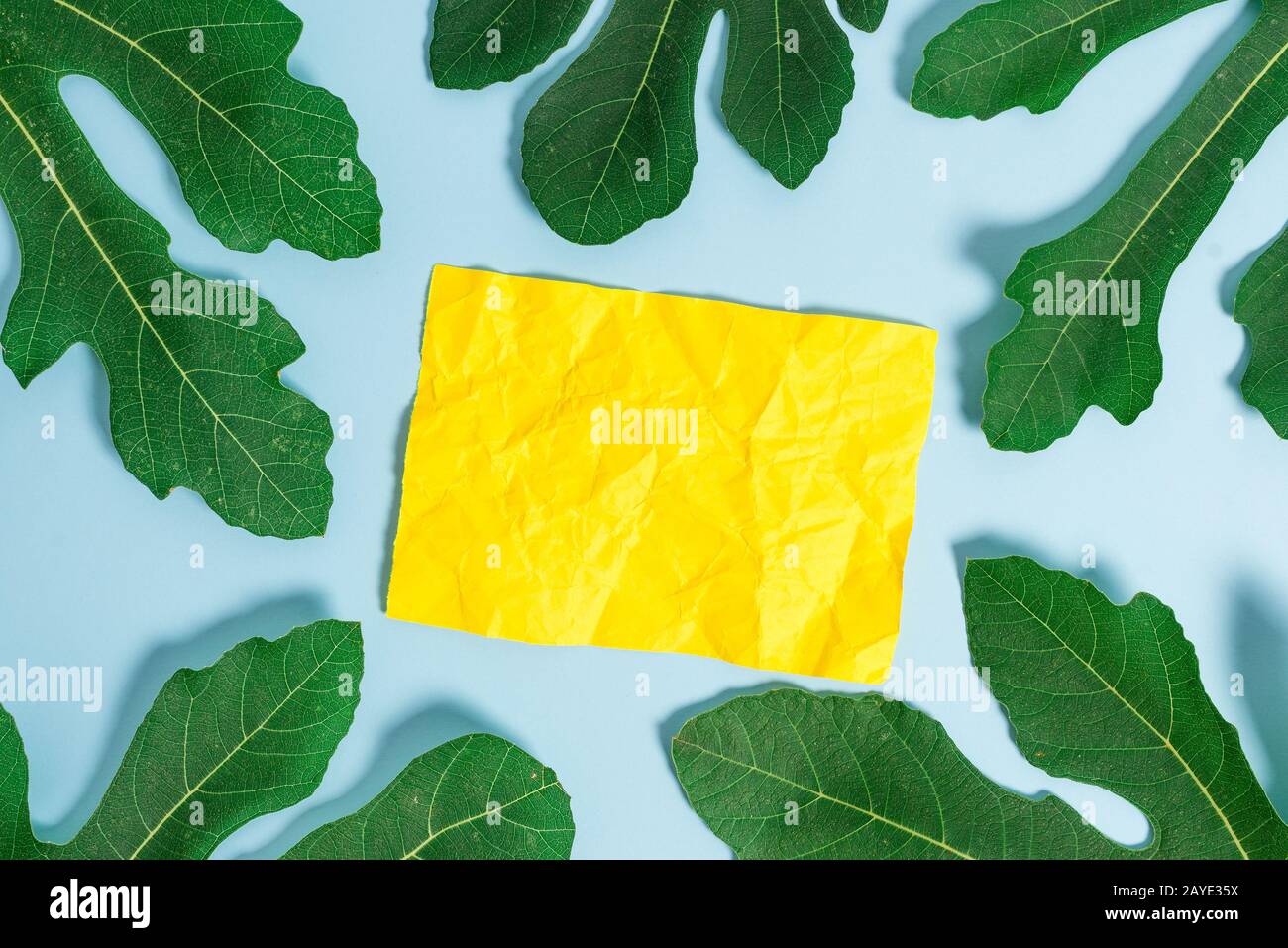 Notepaper placed above plain table between green leaves. Leafage ...