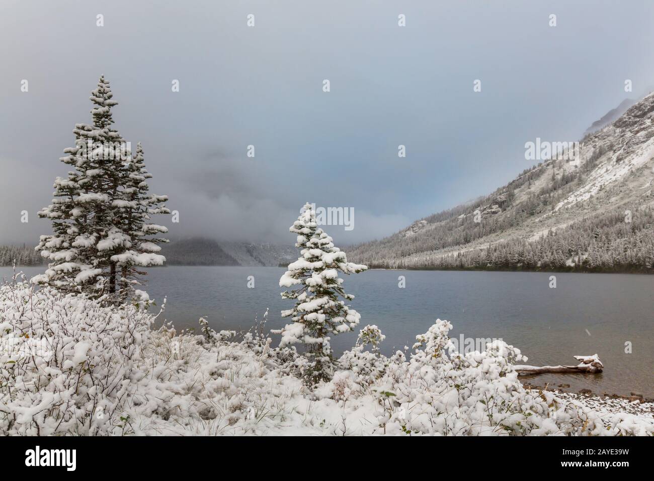 Winter in Glacier Park Stock Photo - Alamy