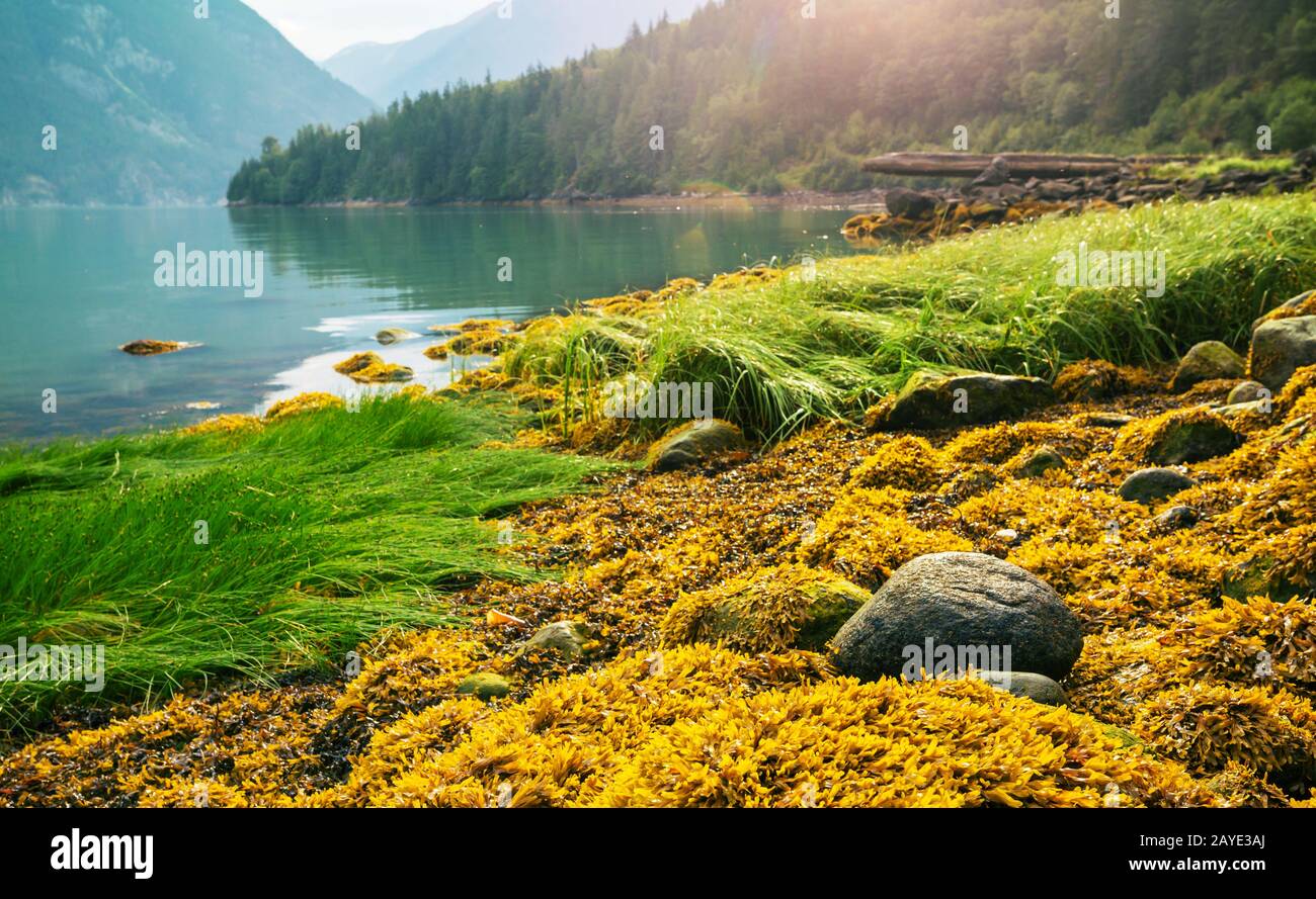 Bella coola scenery hi-res stock photography and images - Alamy