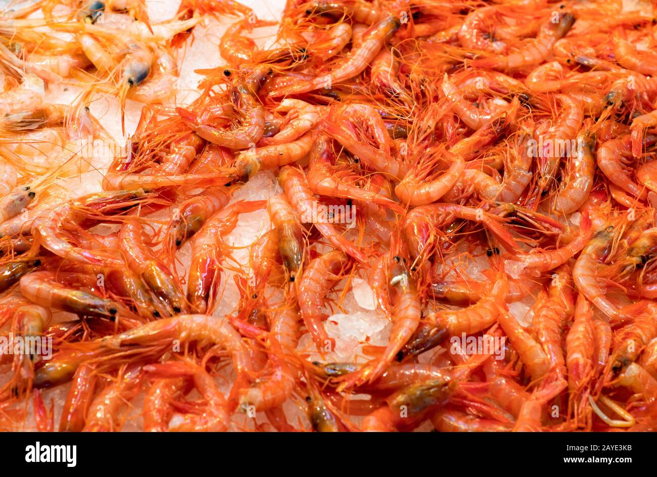 Fresh prawns at fish market Stock Photo - Alamy