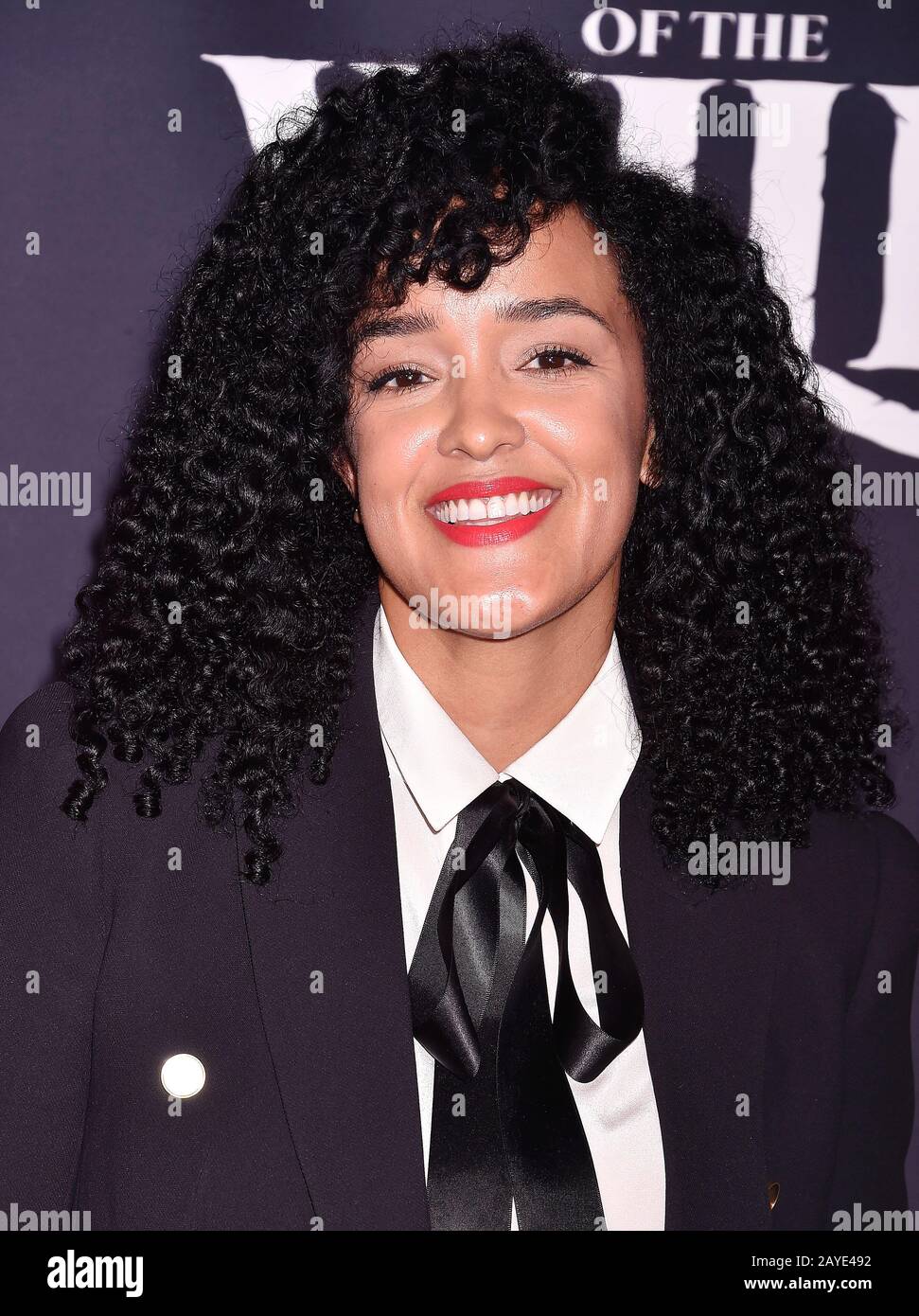 HOLLYWOOD, CA - FEBRUARY 13: Bahia Watson attends the Premiere of 20th ...