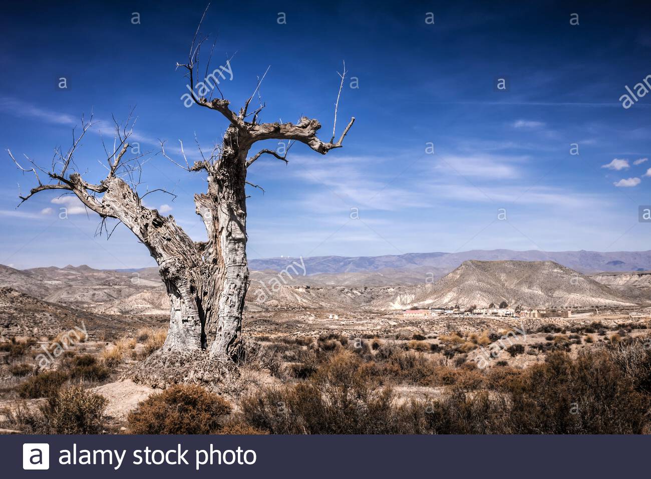 Parched Landscape Drought High Resolution Stock Photography and Images ...