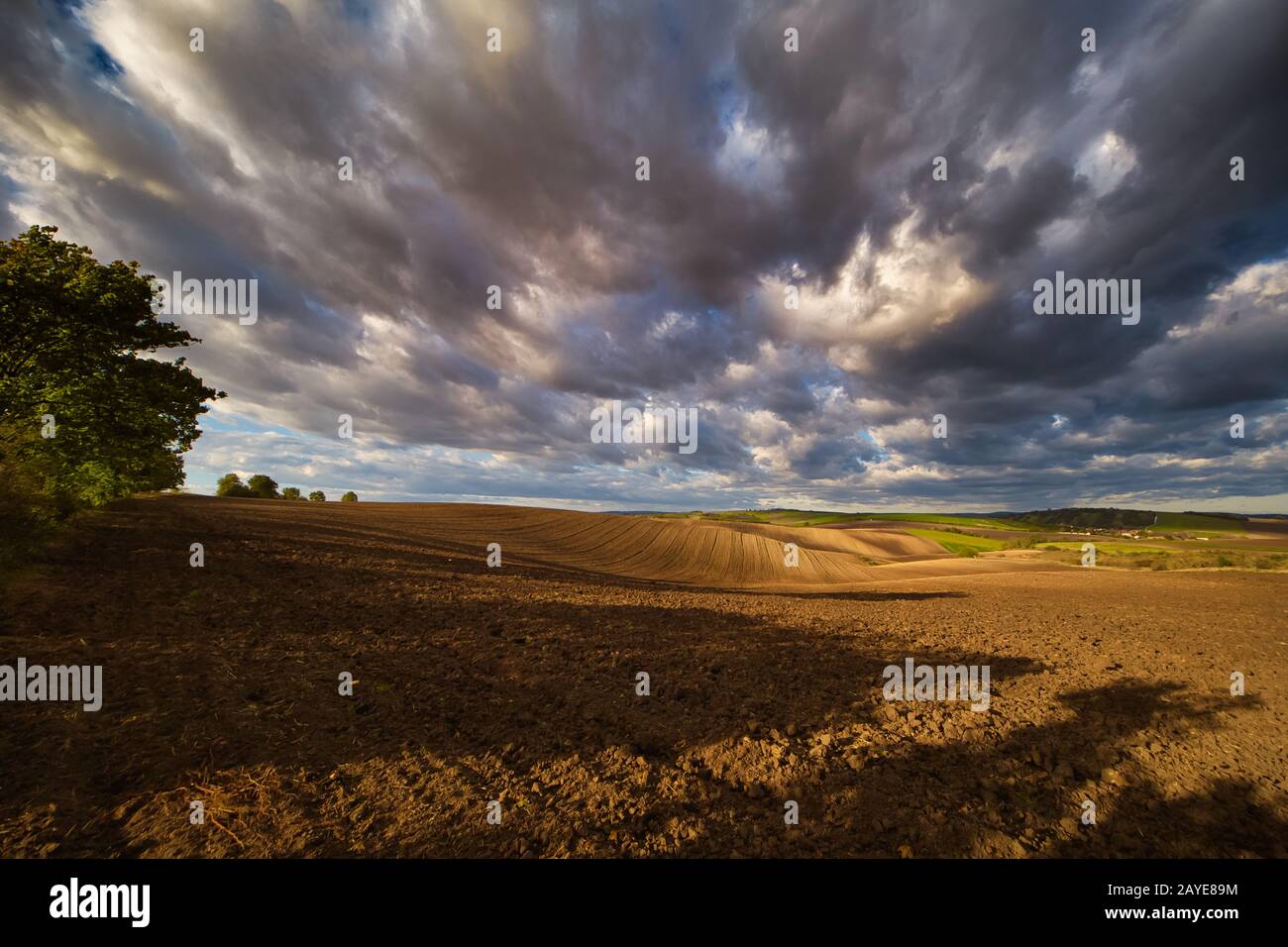 Autumn field with clouds Stock Photo - Alamy