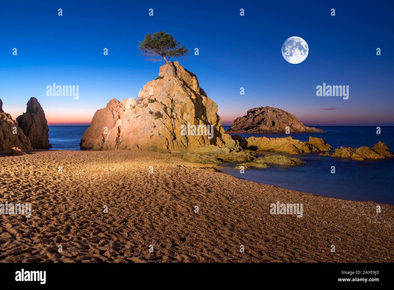 SINGLE STONE PINE TREE ON TOP OF SEA STACK MAR MENUDA BEACH TOSSA DE ...