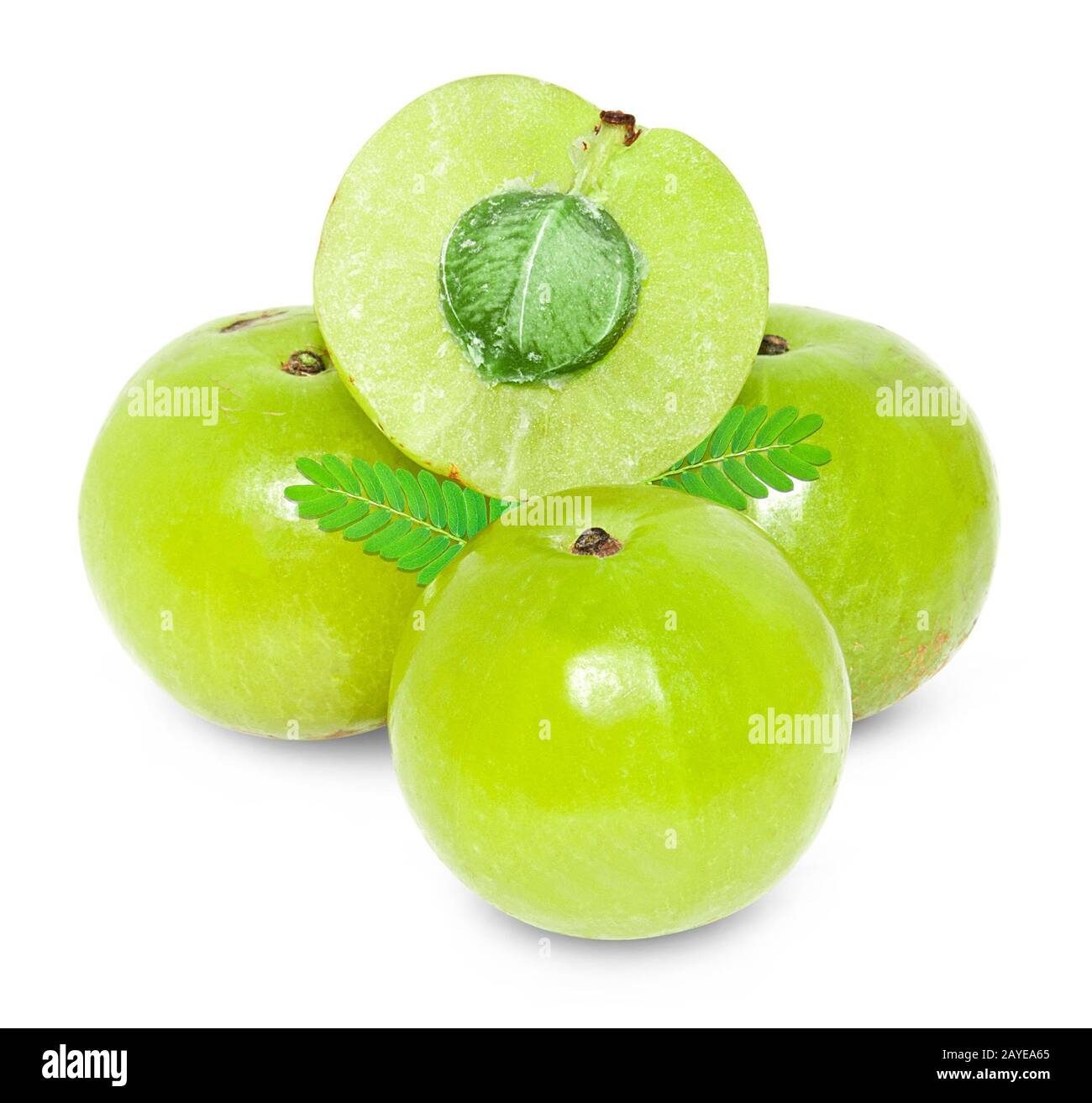 Amla green fruits ,Phyllanthus emblica isolated on white background ...