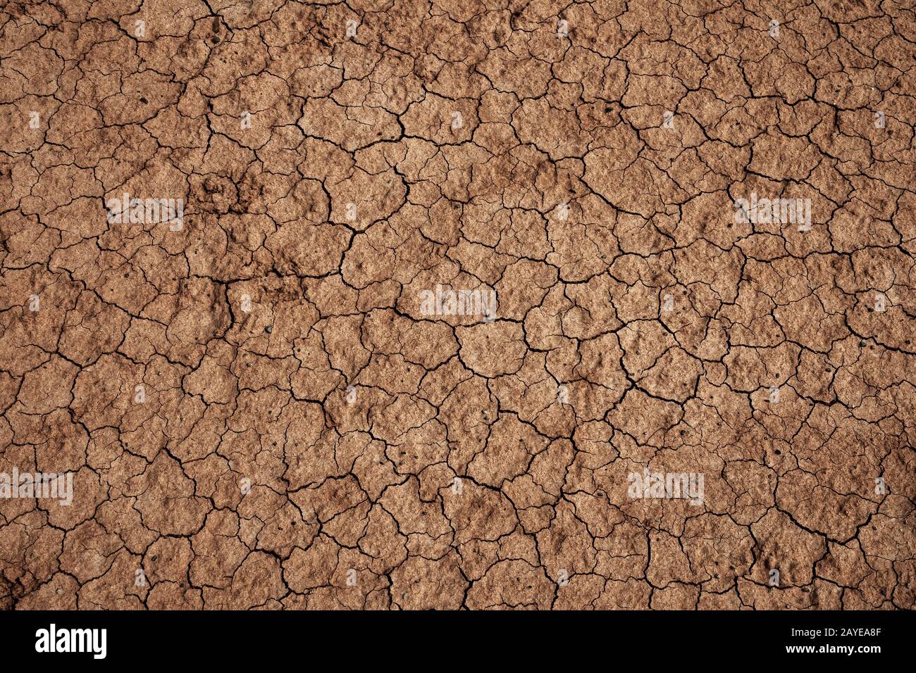 Dry cracked soil during drought Stock Photo - Alamy