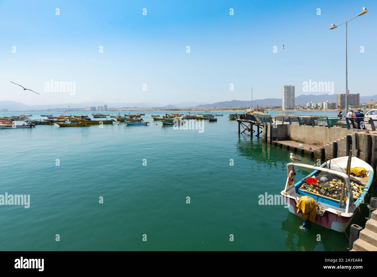 Port of coquimbo hi-res stock photography and images - Alamy