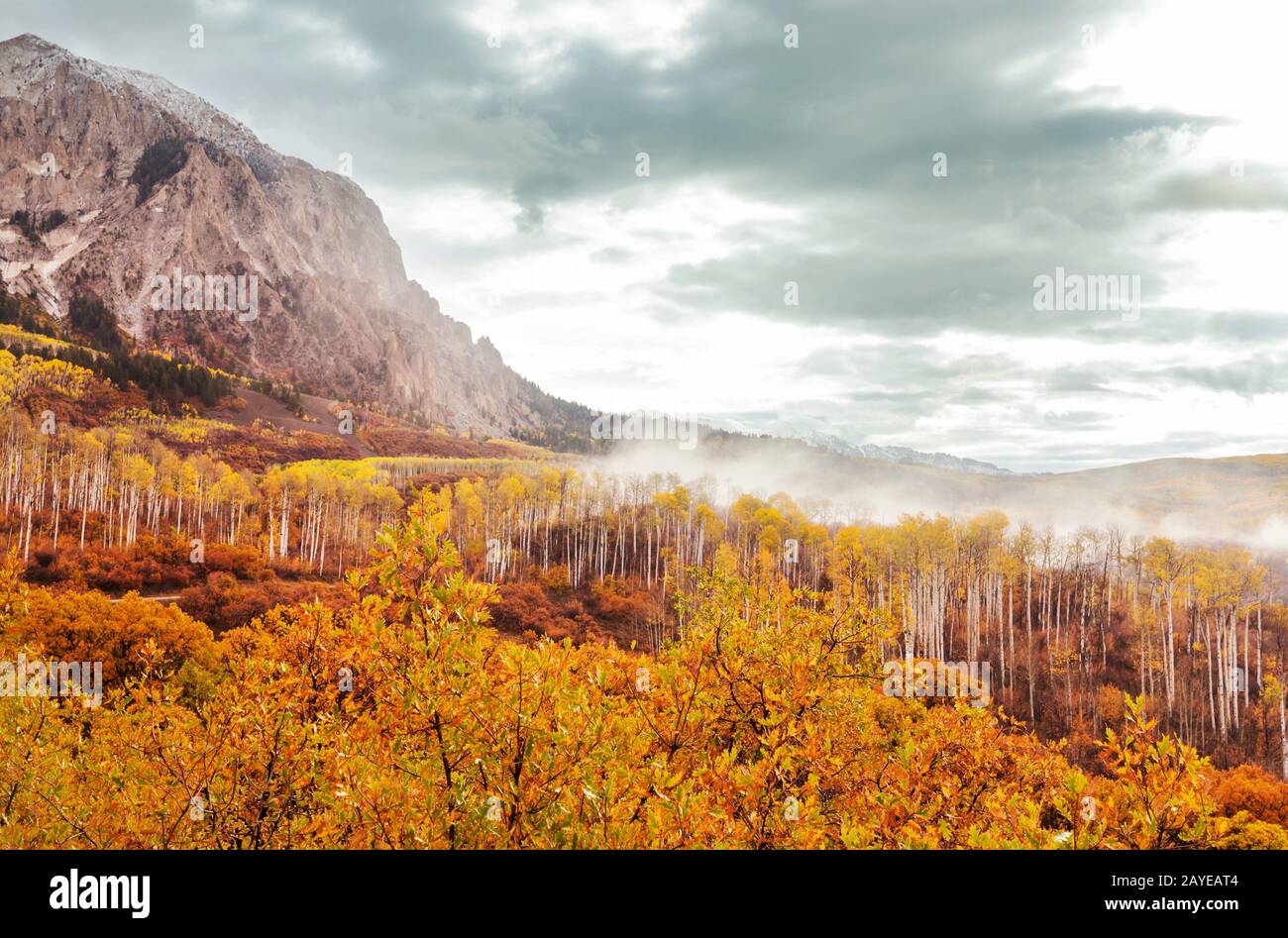 Autumn in Colorado Stock Photo - Alamy