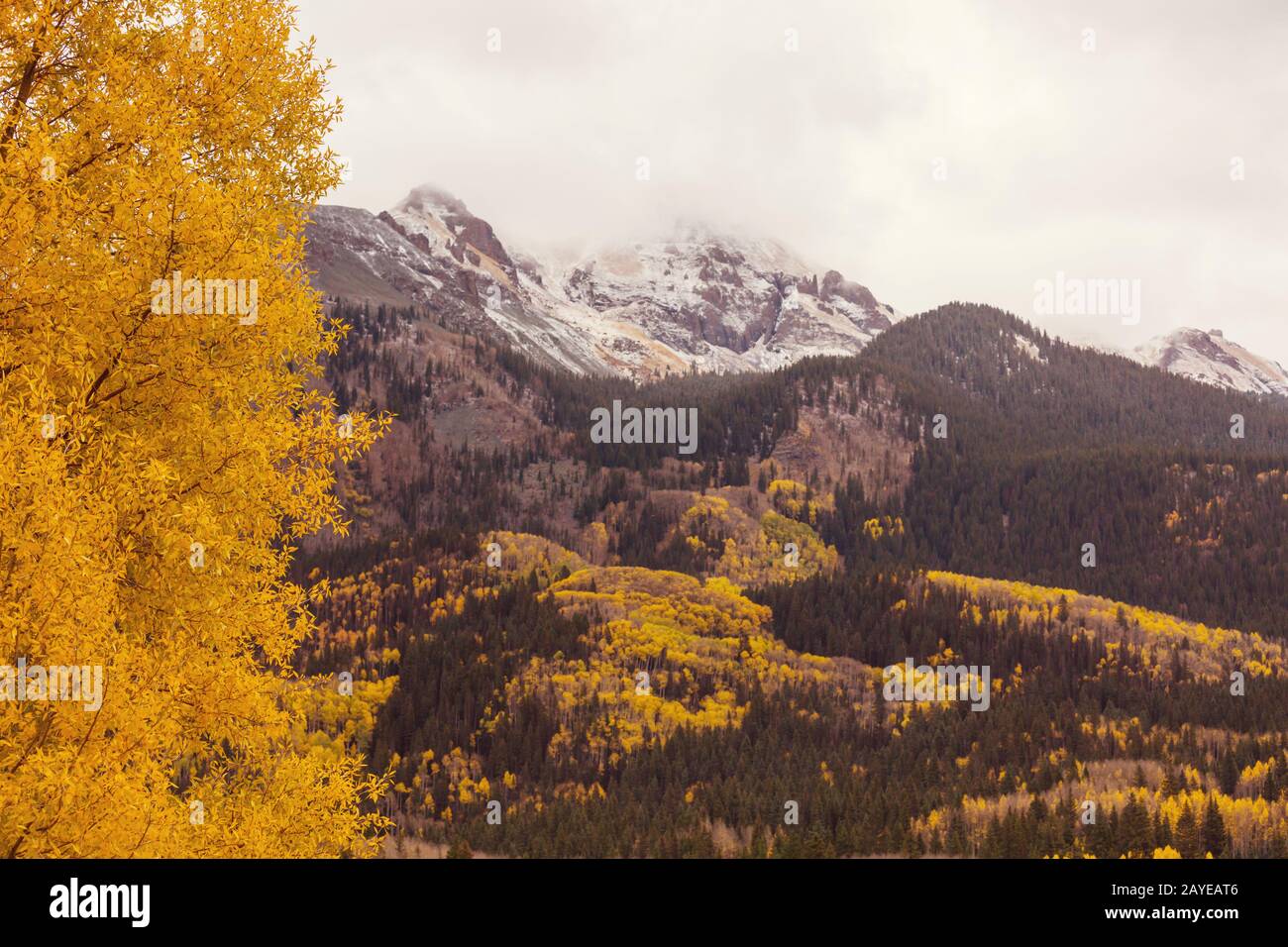 Autumn in Colorado Stock Photo - Alamy