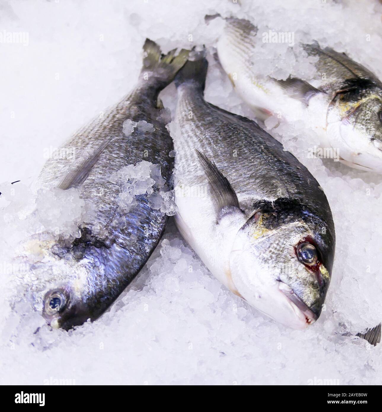 Bunch of fresh fish for sale hi-res stock photography and images - Alamy