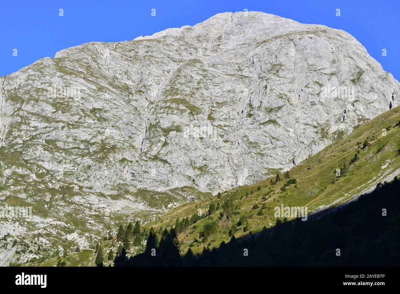 Morning in the Carnic Alps Stock Photo - Alamy