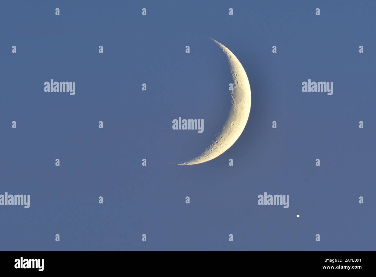 New moon with a star Stock Photo - Alamy