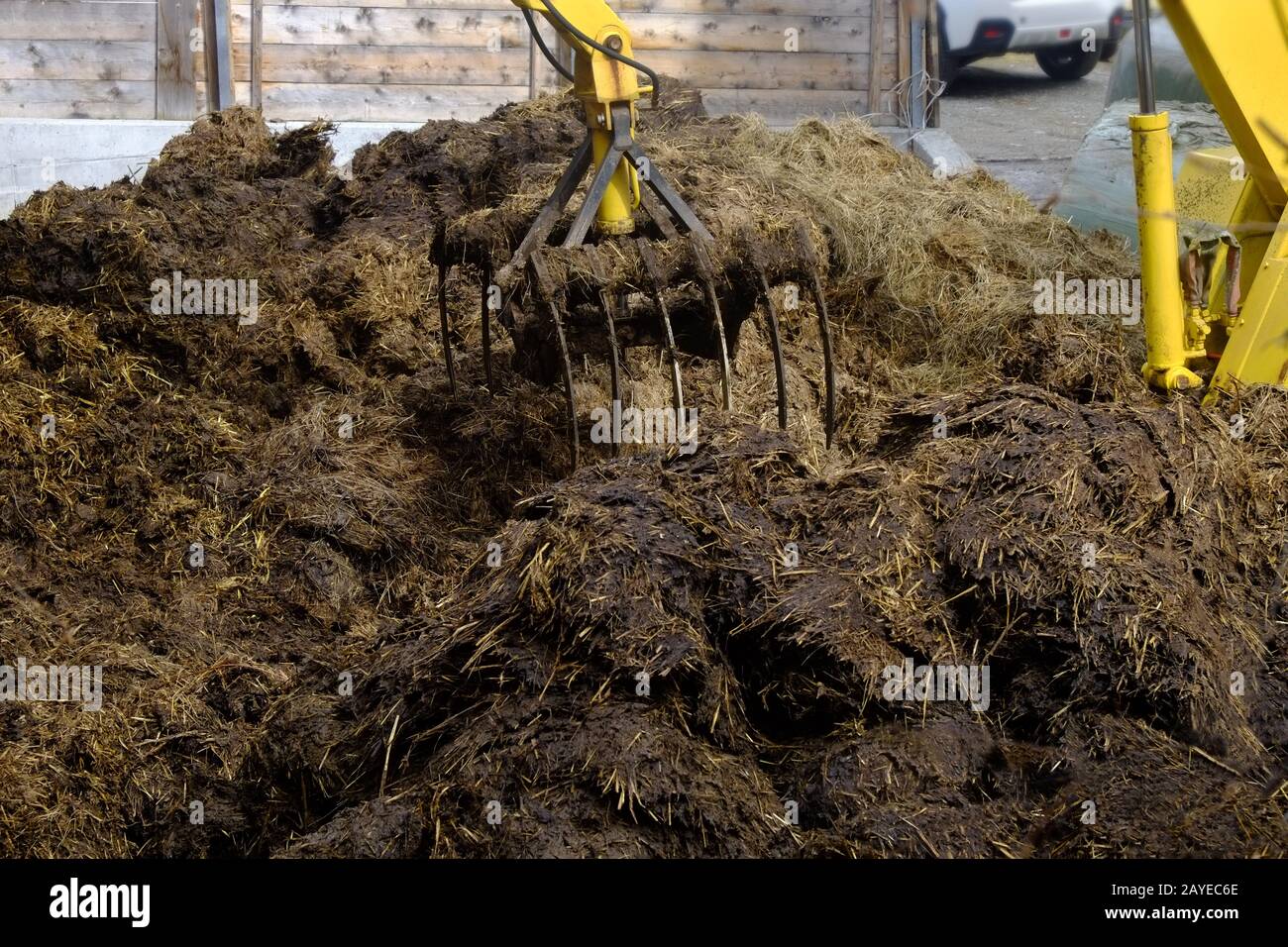 Dung pile, manure heap Stock Photo - Alamy