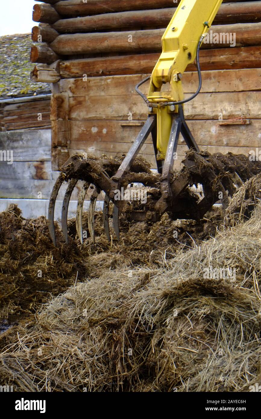 Dung heap hi-res stock photography and images - Alamy