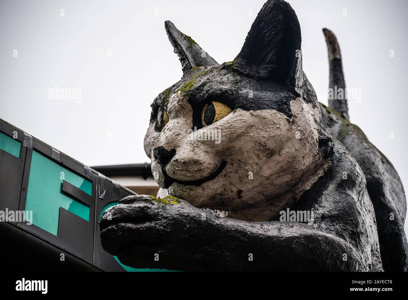 The Catford Cat statue Stock Photo - Alamy