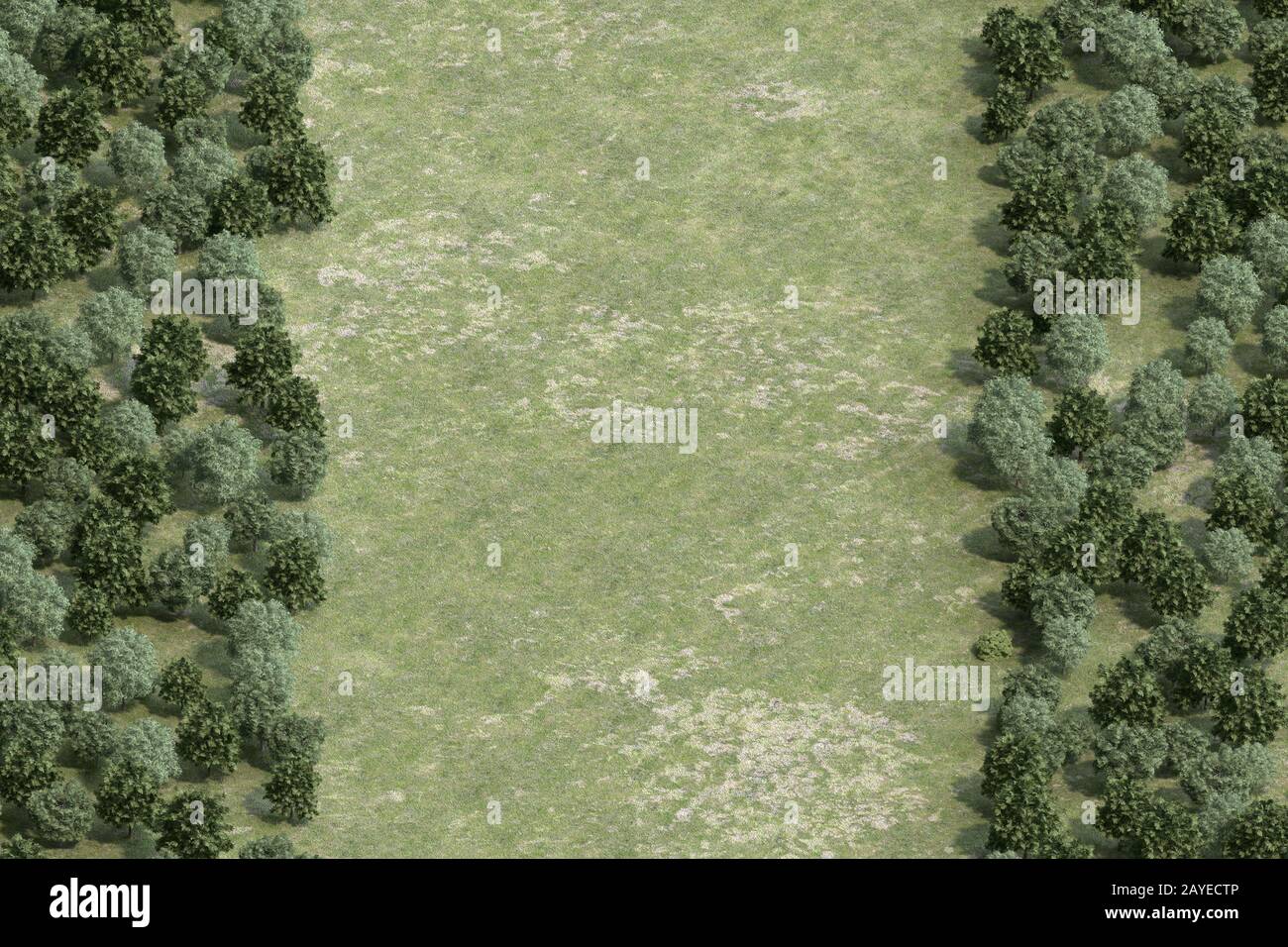 vertical strip steppe in forest. 3d rendering Stock Photo - Alamy