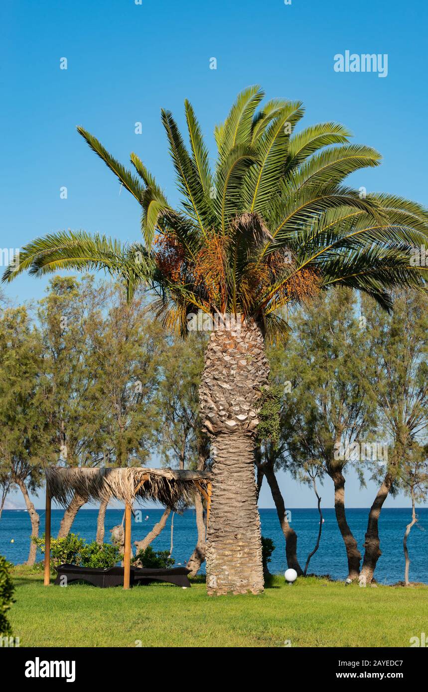 Kos sea hi-res stock photography and images - Alamy