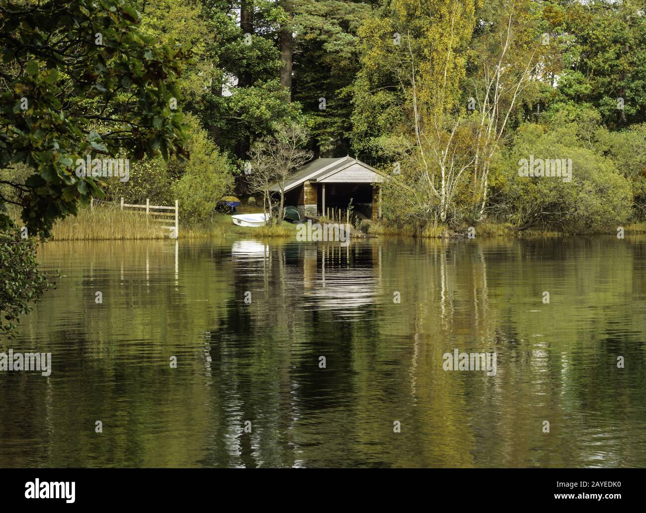 Manesty High Resolution Stock Photography and Images - Alamy