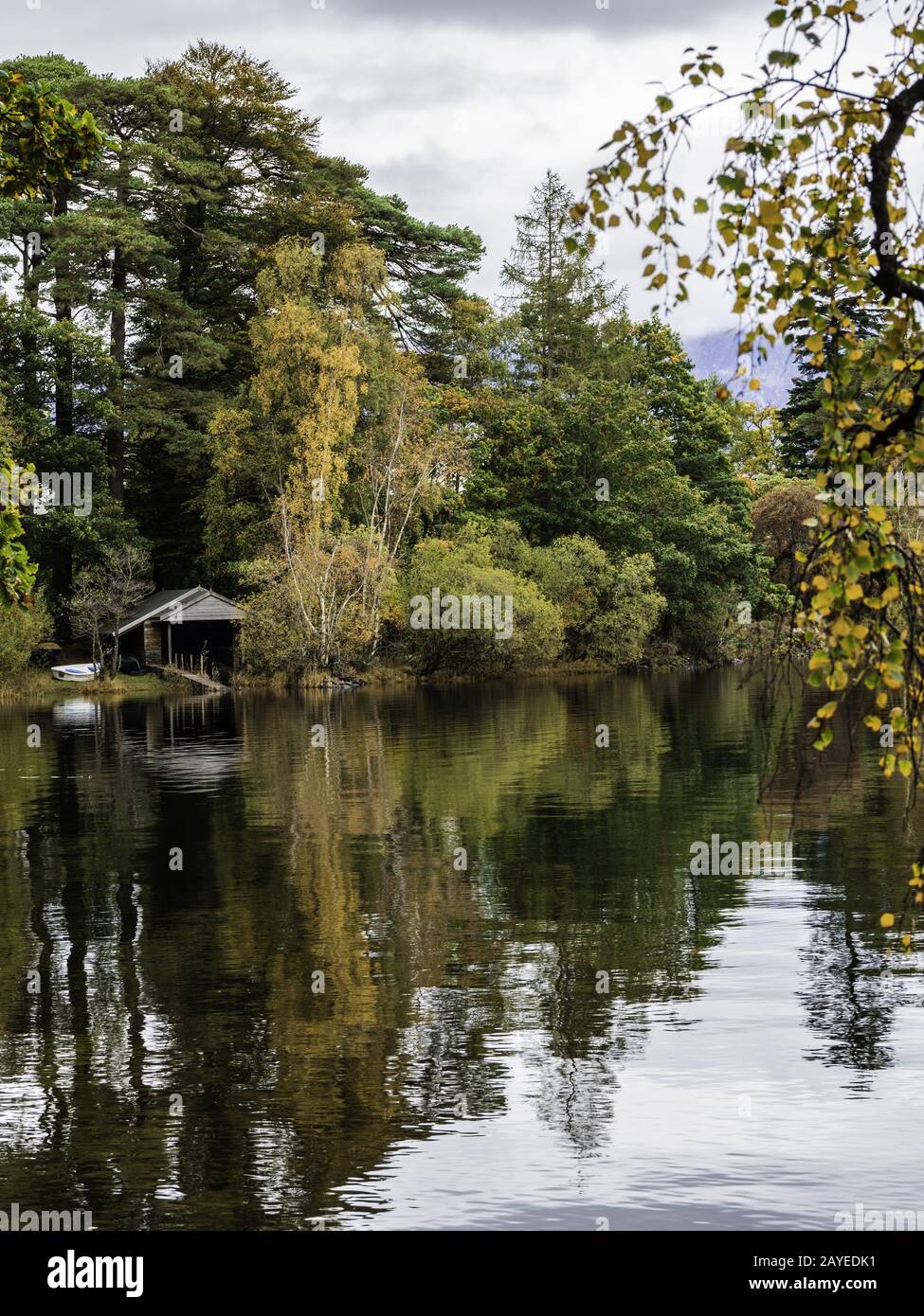 Manesty hi-res stock photography and images - Alamy