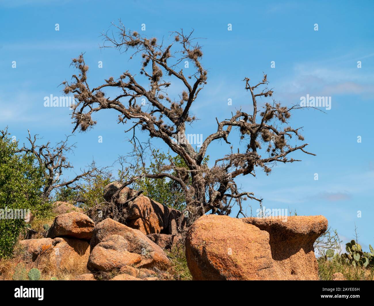 Enchanted stones hi-res stock photography and images - Alamy