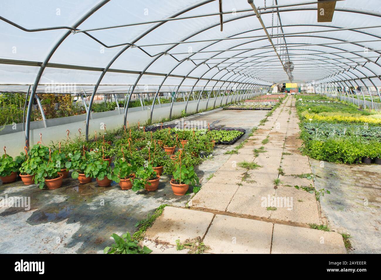 Smart agriculture netherlands hi-res stock photography and images - Alamy