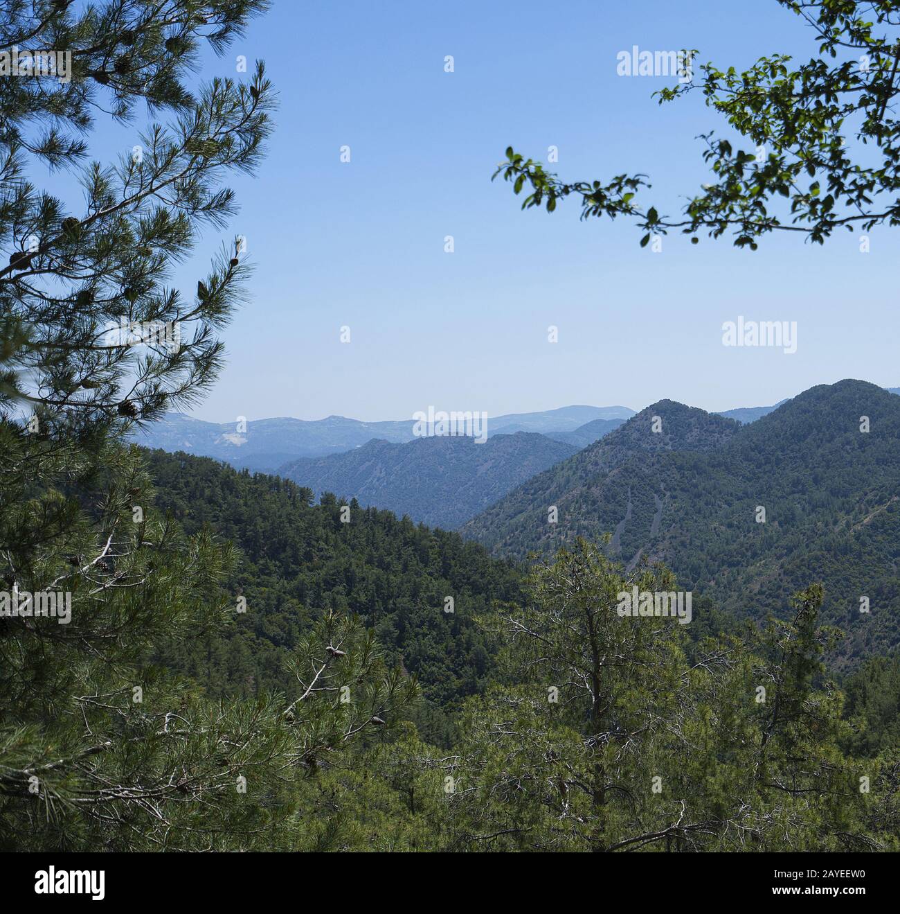 Cyprus mountains covered with forest Stock Photo - Alamy