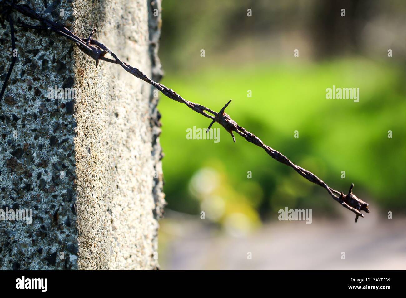 Wire attached to fencing hi-res stock photography and images - Alamy