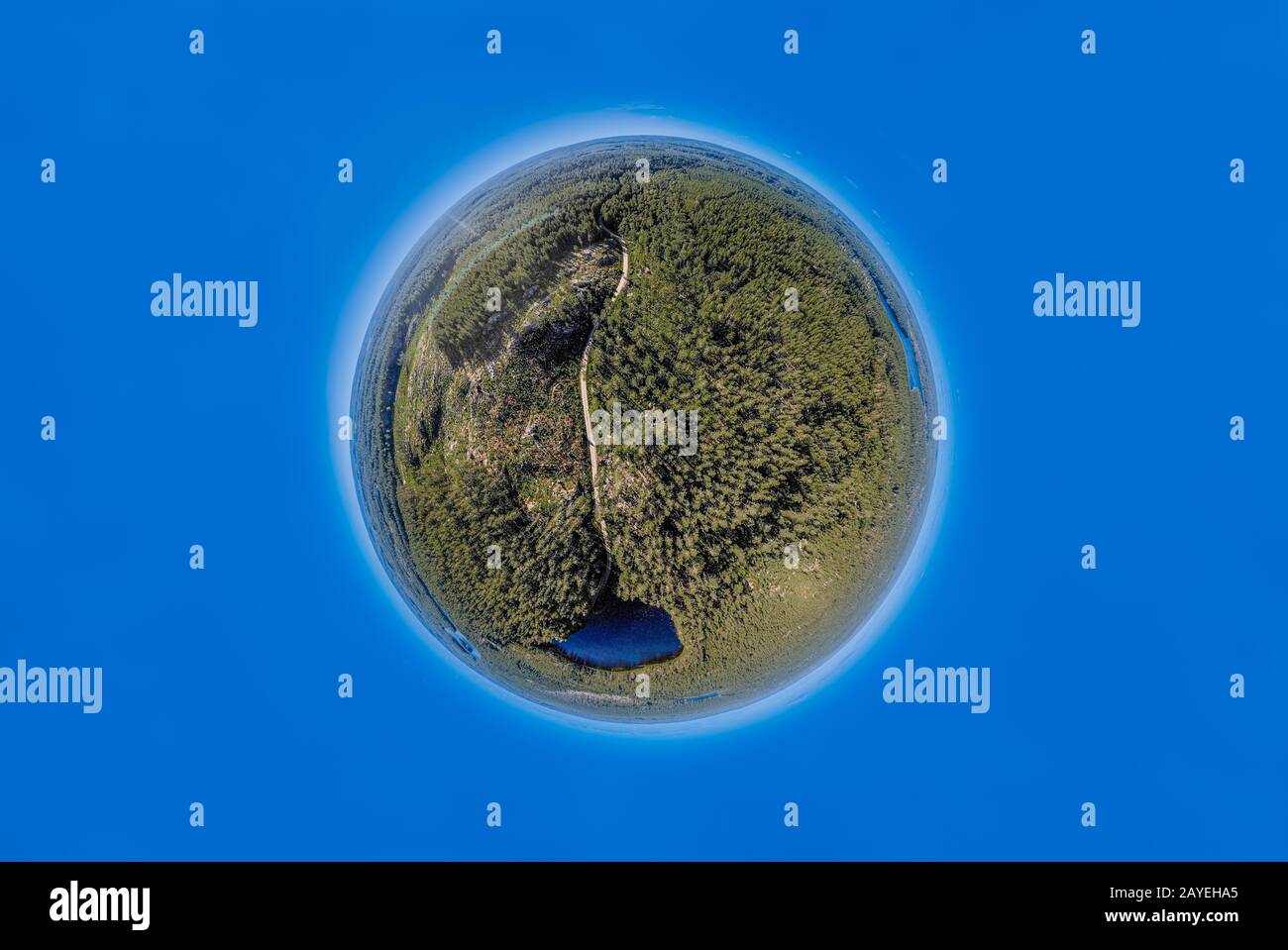 360 forest image hi-res stock photography and images - Alamy